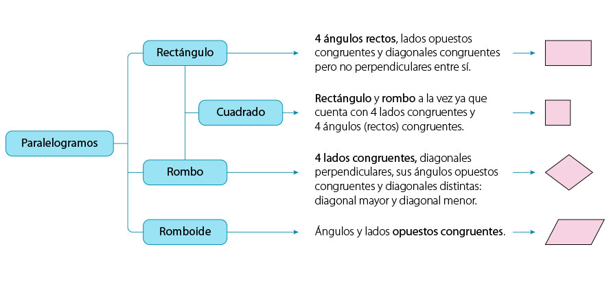 Paralelogramos Tipos